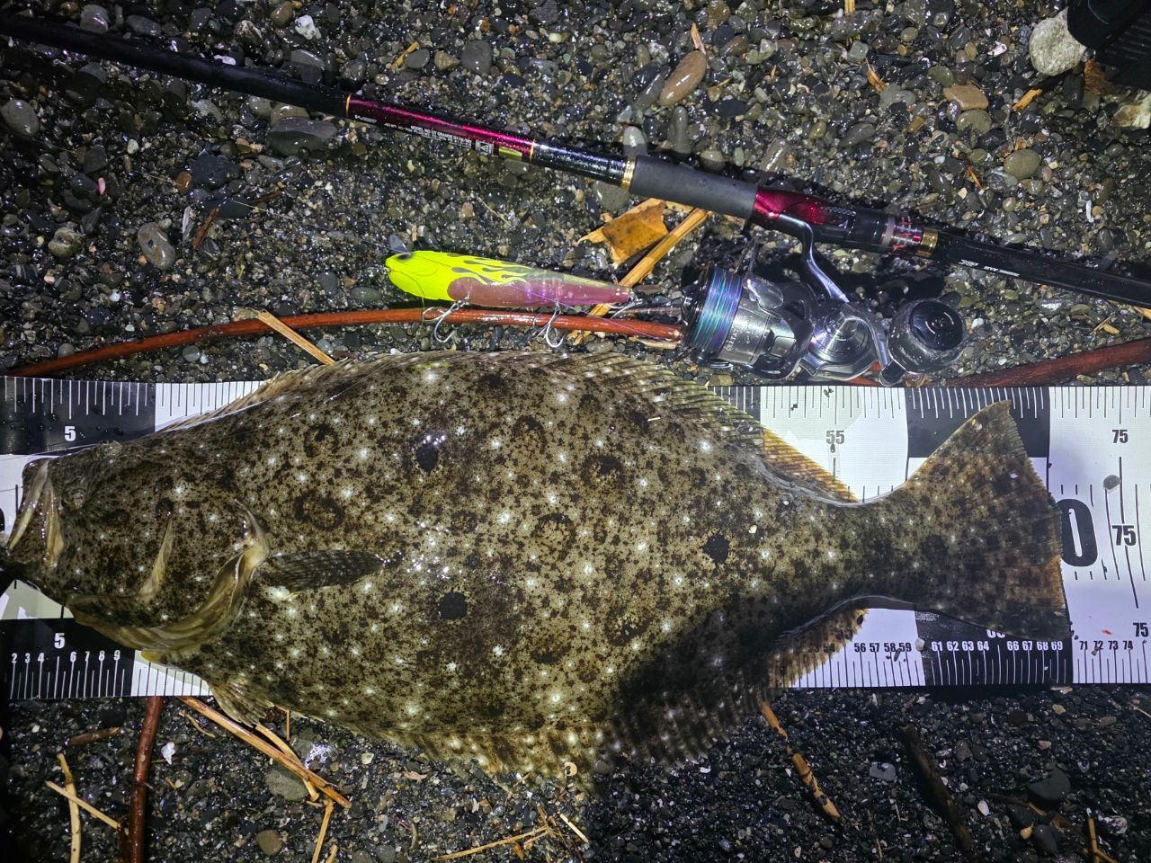 てっちめん さんの 2025年12月21日のヒラメの釣り・釣果情報(静岡県 - 三保) - アングラーズ | 釣果600万件の魚釣り情報サイト