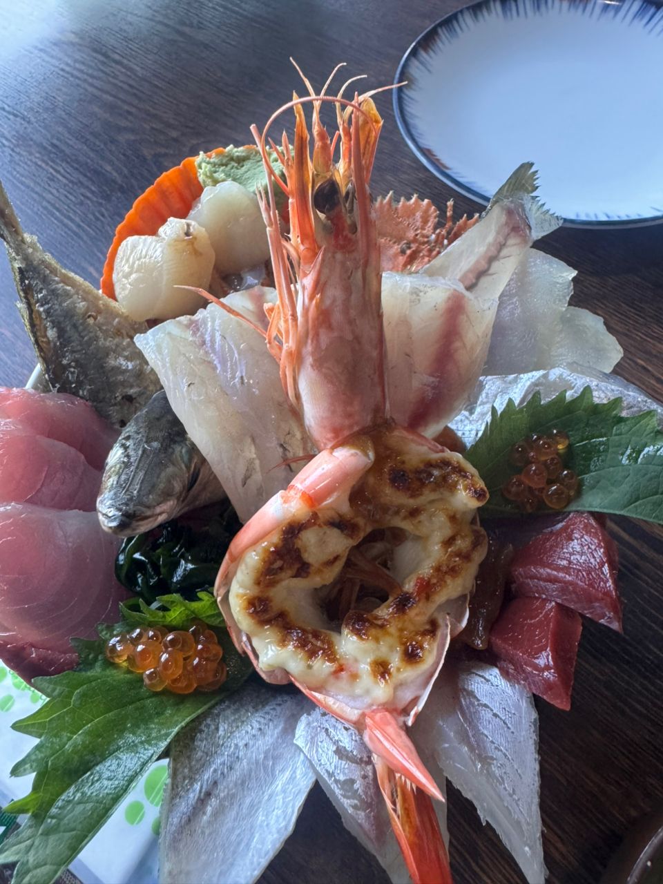 はる24 さんの 2025年12月30日のカマスの釣り・釣果情報(大分県 - 大分県佐伯市近辺) - アングラーズ | 釣果600万件の魚釣り ...