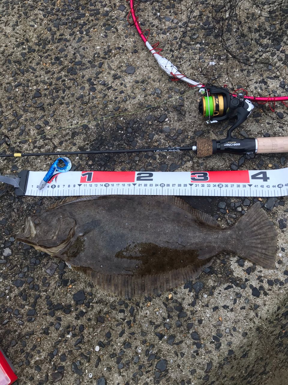 litter _venus さんの 2019年12月30日のヒラメの釣り・釣果情報(長崎県 - 佐世保湾) - アングラーズ | 釣果500万 ...
