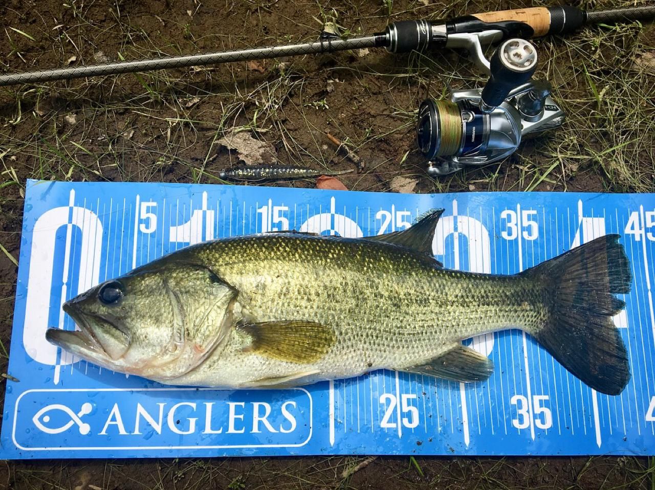 angler.taka17 さんの 2018年07月28日のブラックバスの釣り・釣果情報(秋田県 - 秋田県由利本荘市近辺) - アングラーズ ...