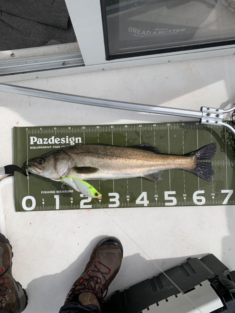 hinode_scavenger さんの 2022年10月08日のシーバスの釣り・釣果情報(千葉県 - 東京湾（アクアライン〜富津 ...