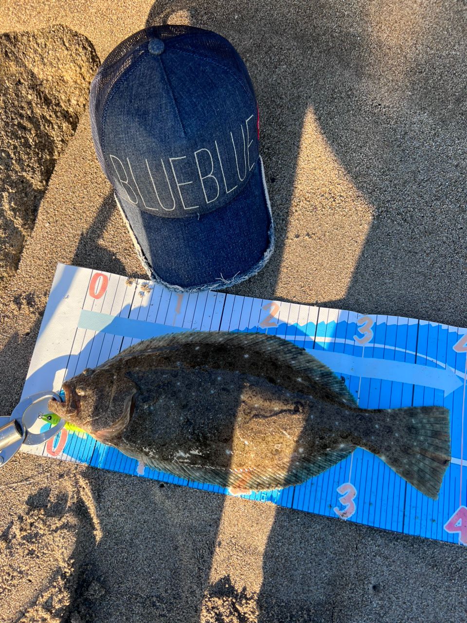 BlueBlue社員になりたいさん さんの 2023年11月16日のソゲの釣り・釣果情報(宮城県 - 仙台サーフ) - アングラーズ | 釣果500万件の魚釣り情報サイト