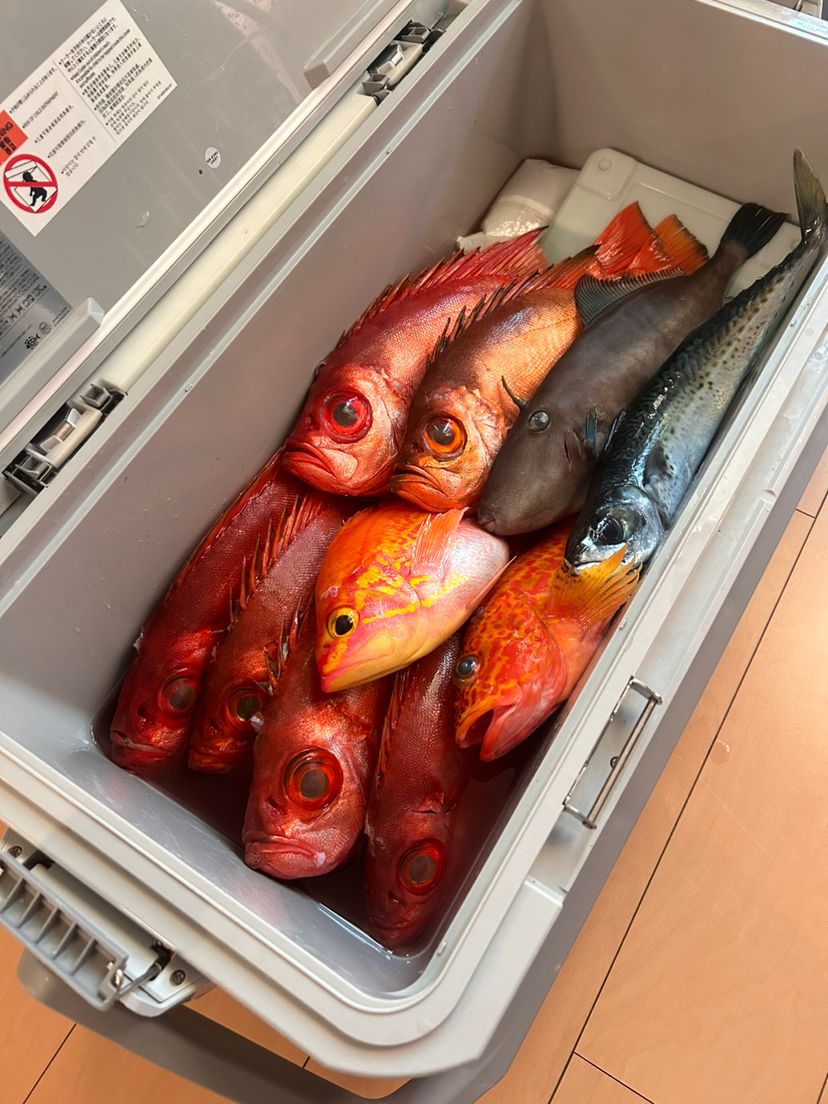 【しまや丸】最新の釣果情報 2025年10月速報 - アングラーズ釣船予約