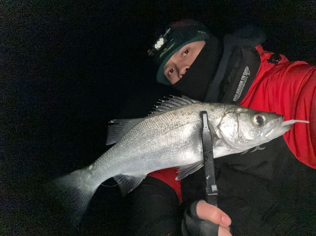 ニール 釣リ/neil fishing さんの 2024年12月28日のヒラスズキの釣り・釣果情報(福島県 - 小名浜港市場前 ...