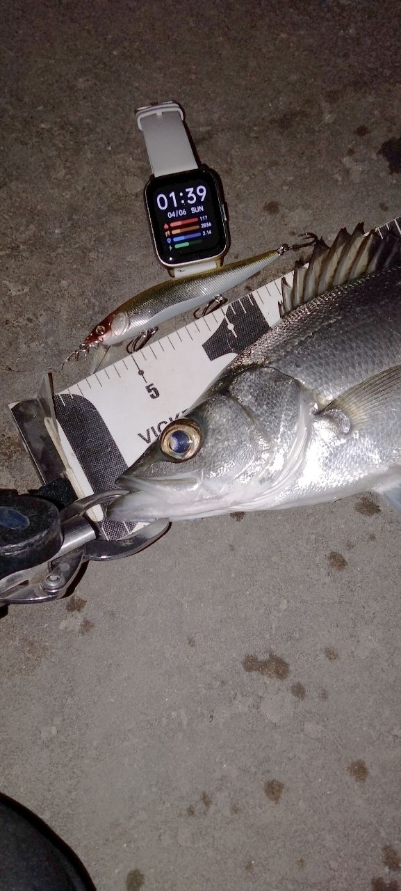 初心者テスターKさんの2025年04月06日(日)の釣行(神奈川県 - 相模川河口) - アングラーズ | 釣果600万件の魚釣り情報サイト