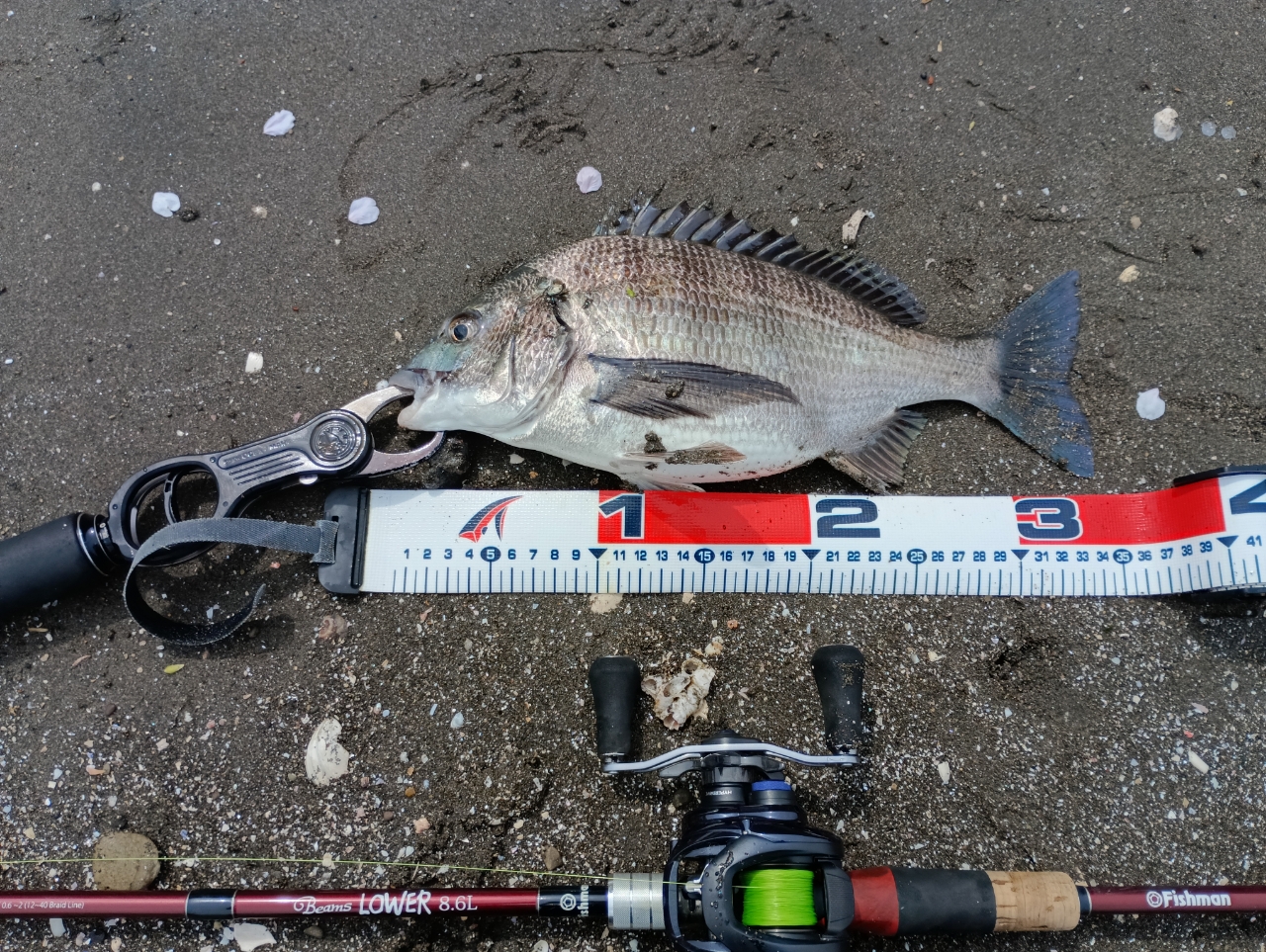 DAIWA 23ソルティスト TW PE SPECIAL 100XHの最安値・インプレ DAIWA 23ソルティスト TW PE SPECIAL 100XHの最安値・インプレ