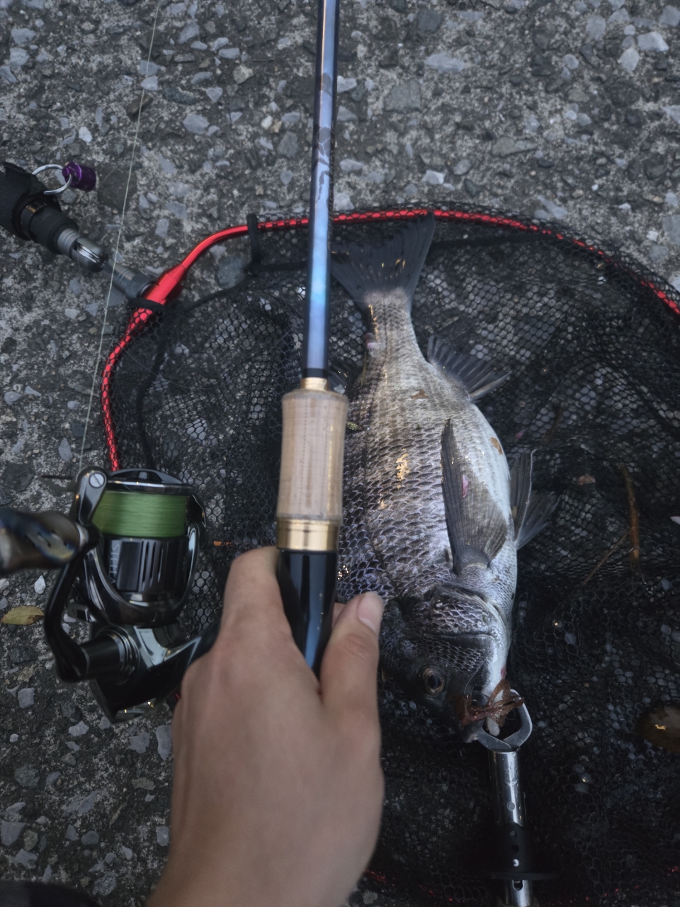 SHIMANO 22ステラ C3000MHGの最安値・インプレ・釣果 | 本音の SHIMANO 22ステラ C3000MHGの最安値・インプレ・釣果 | 本音の