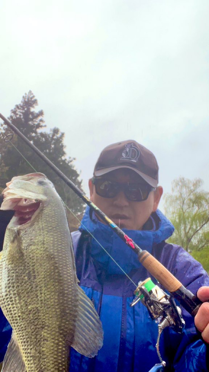 DAIWA 20ルビアス FC LT2000S-XHの最安値・インプレ・釣果 DAIWA 20ルビアス FC LT2000S-XHの最安値・インプレ・釣果