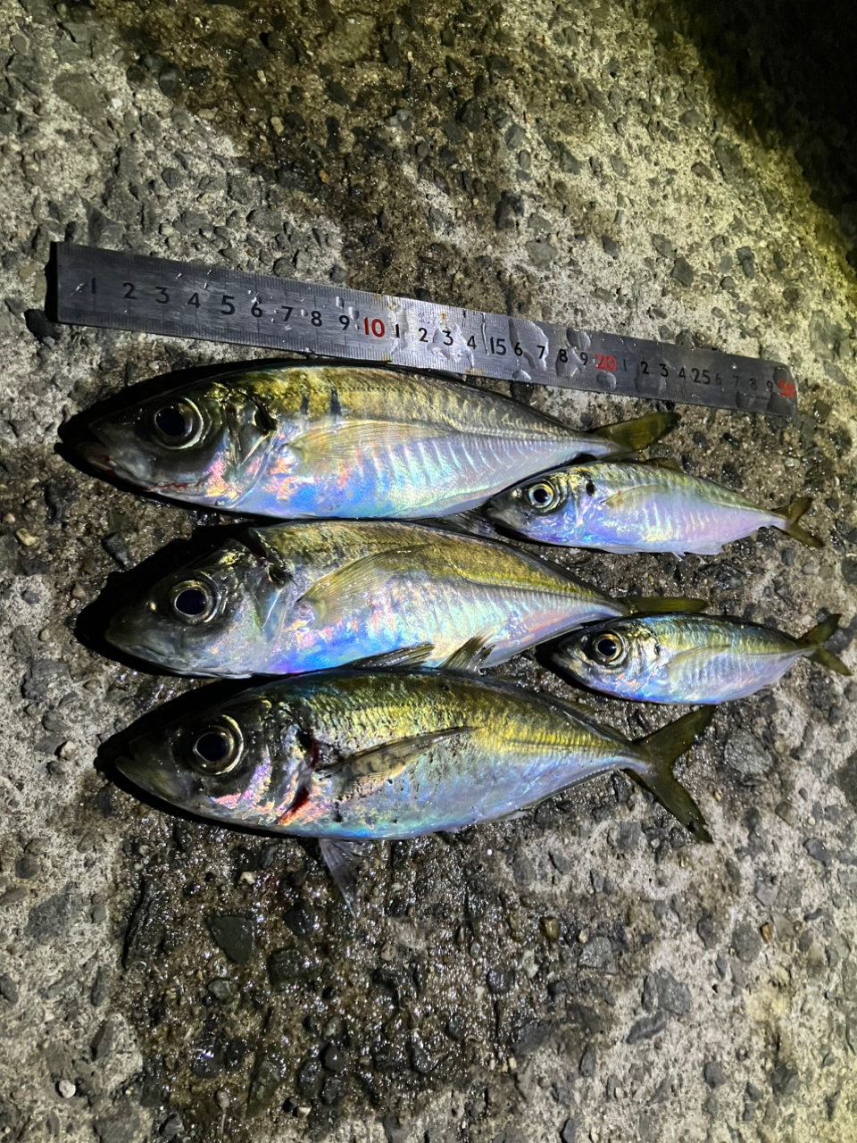 YAMAGA Blanks メビウス 79Mの最安値・インプレ・釣果 | 本音の YAMAGA Blanks メビウス 79Mの最安値・インプレ・釣果 | 本音の