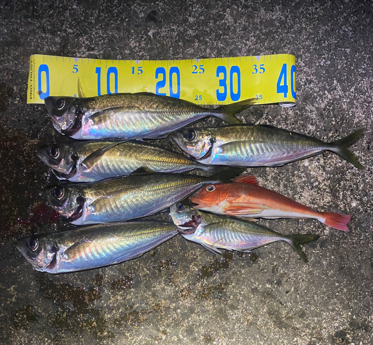 YAMAGA Blanks ブルーカレント TZ ナノ 83 Flexの最安値 YAMAGA Blanks ブルーカレント TZ ナノ 83 Flexの最安値