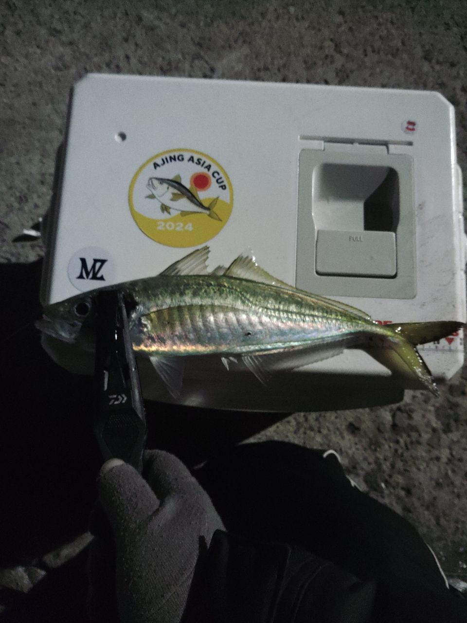 Ys-510 さんの 2025年04月26日のアジの釣り・釣果情報(秋田県 - 秋田市サーフ) - アングラーズ | 釣果600万件の魚釣り情報サイト