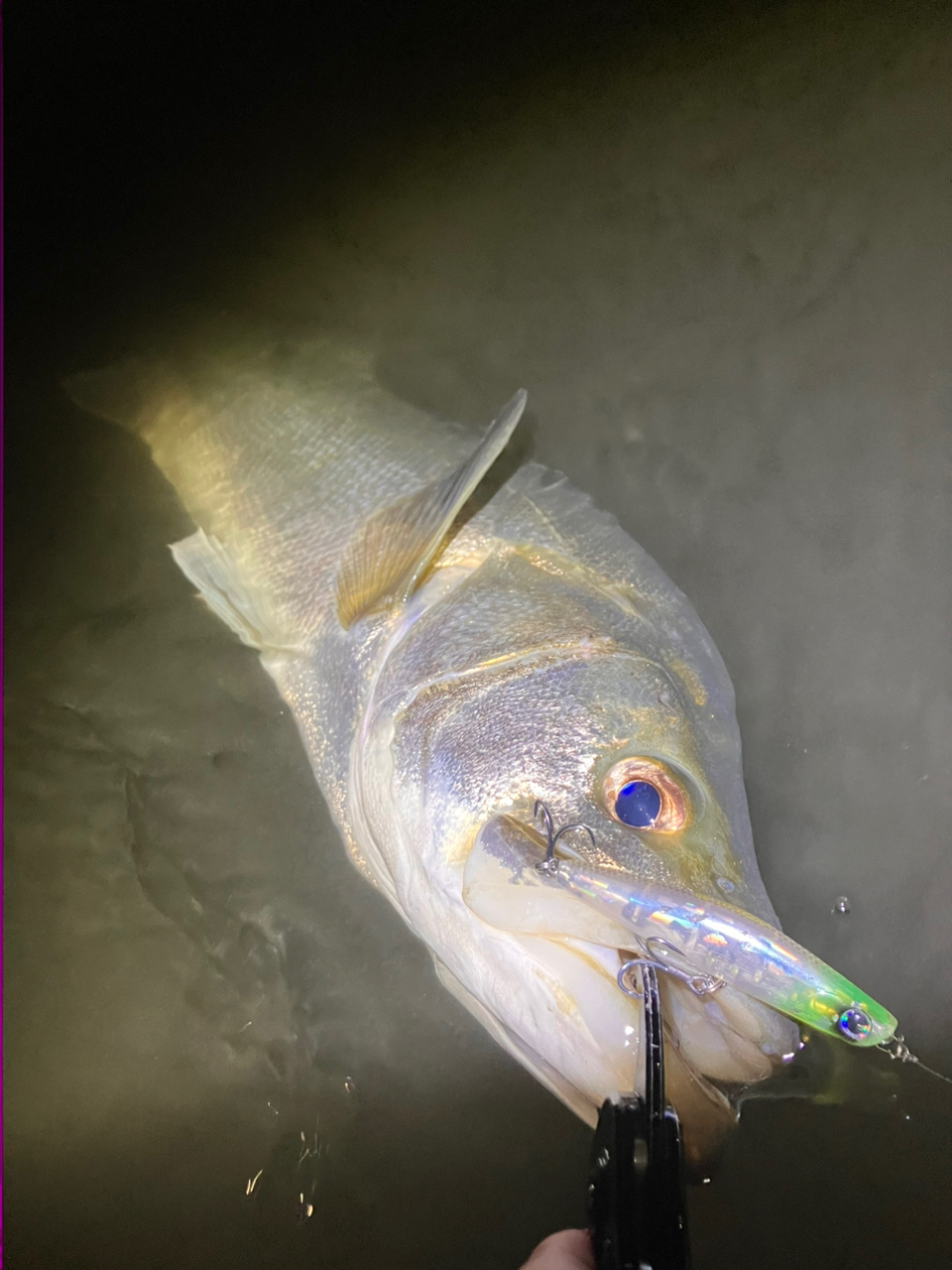 DAIWA 21モアザン ブランジーノ EX AGS 97ML/Mの最安値 DAIWA 21モアザン ブランジーノ EX AGS 97ML/Mの最安値