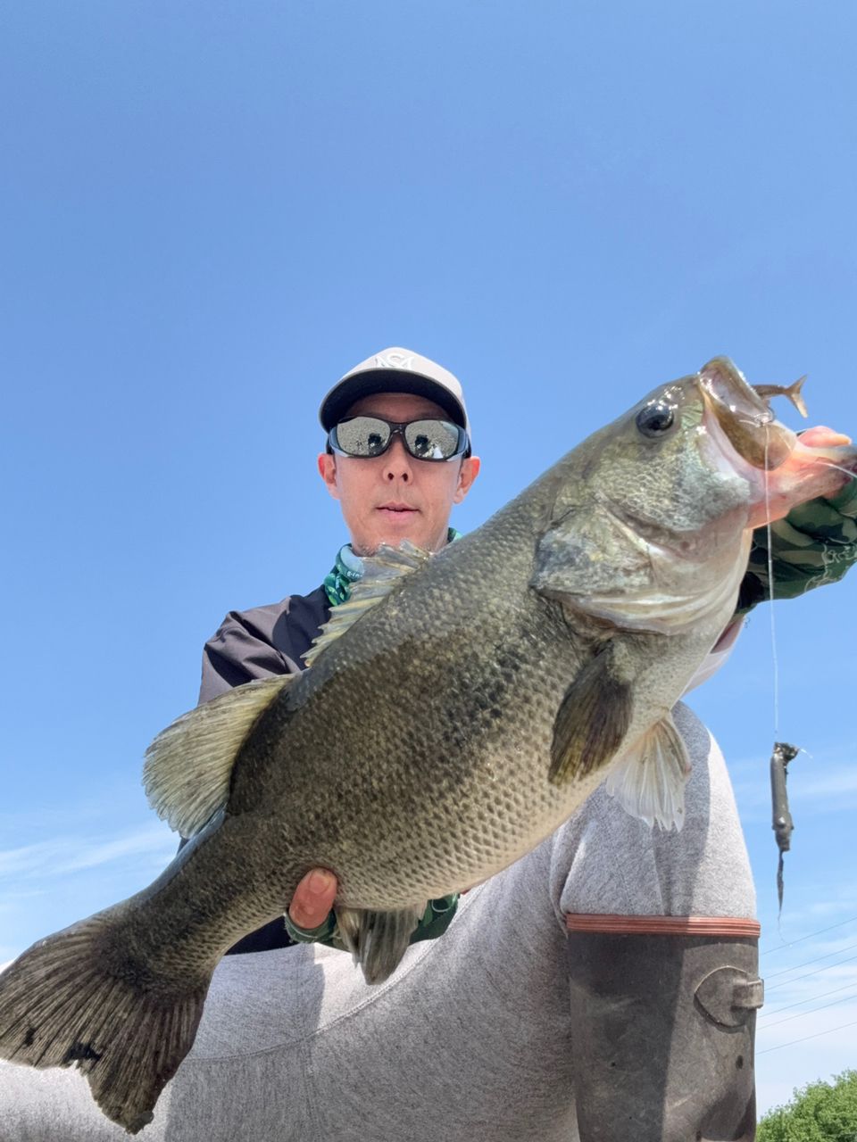 harugen さんの 2025年05月14日のブラックバスの釣り・釣果情報(京都府 - 宇治川) - アングラーズ | 釣果600万件の魚釣り情報サイト