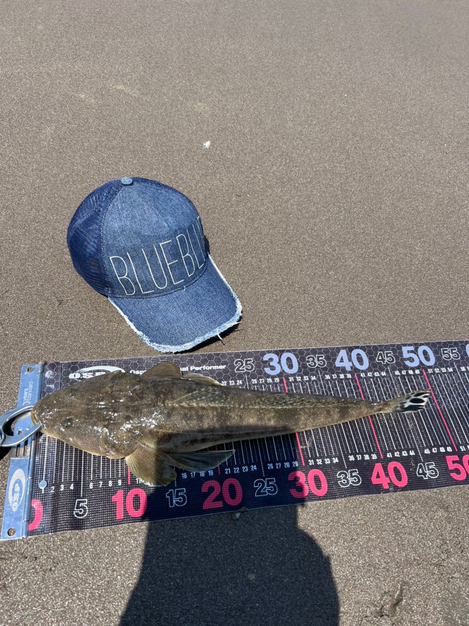 BlueBlue社員になりたい さんの 2025年05月29日の釣り・釣果情報(宮城県 - 潜ヶ浦水道) - アングラーズ | 釣果600万件の魚釣り情報サイト