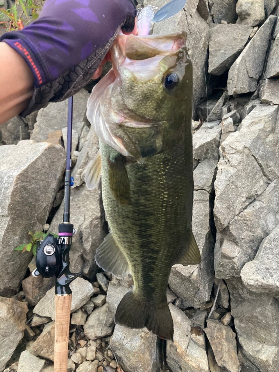 コマンドー井上さんの2025年09月23日(火)の釣行(東京都 - 奥多摩湖) - アングラーズ | 釣果600万件の魚釣り情報サイト