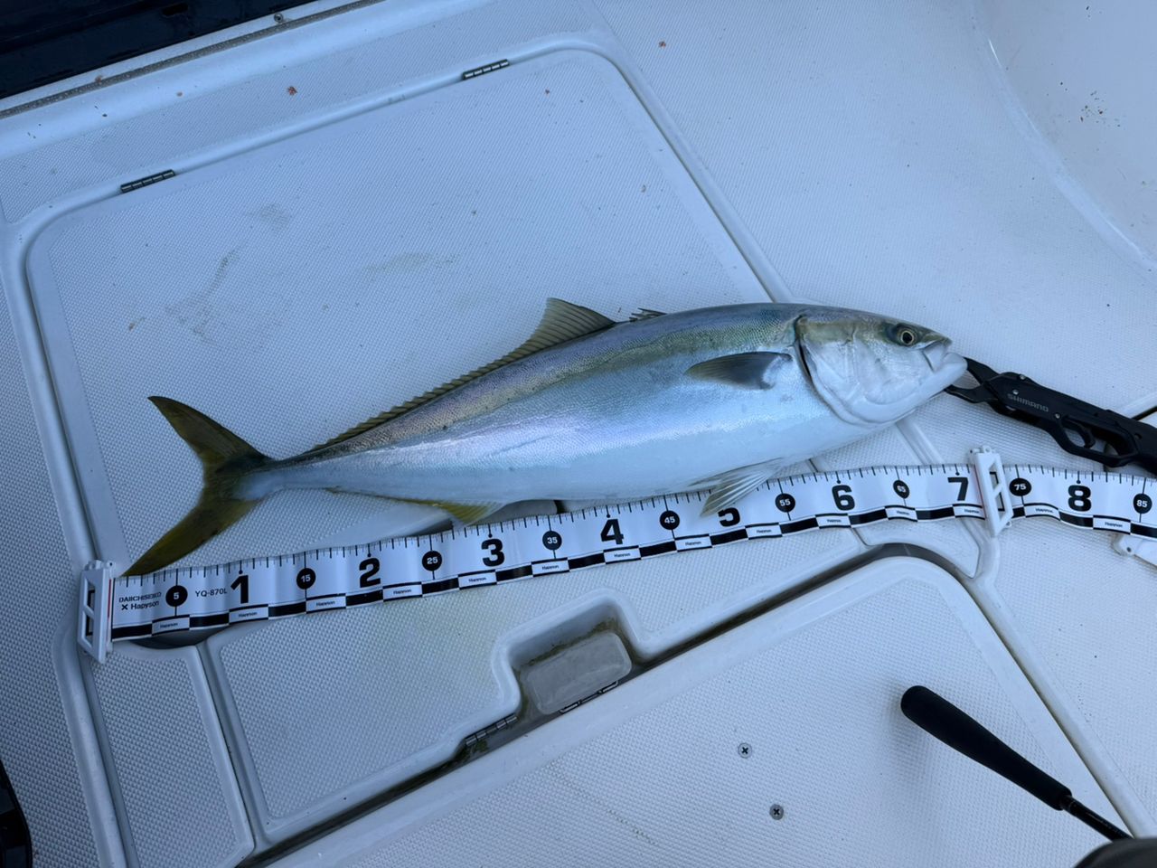 SHIMANO 24オシアジガー ナチュラルジャーク NJ S64-3の最安値